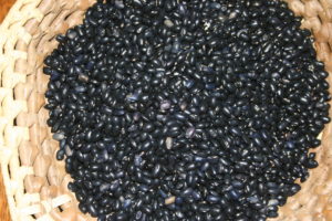 Beans | Seed Treasures